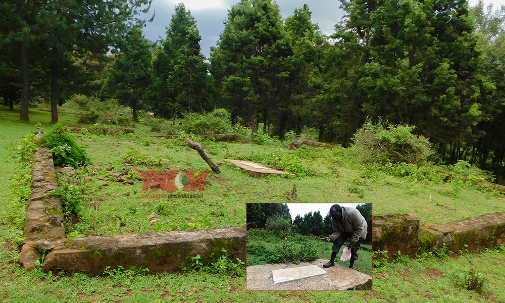 FORGOTTEN GRAVES: Arboretum in memory of British colonial soldier in ...